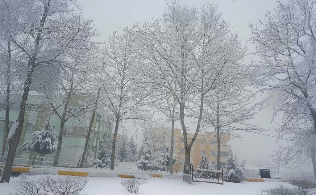i̇lkokul Tepeşehir İlkokulu, Erbaa, foto
