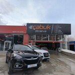 Çabuk Oto Servisi (Zübeyde Hanım Mah., Turgut Özal 1. Blv., No:51/H, Altındağ, Ankara), otomobil servisi  Ankara'dan