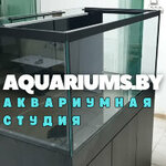 Аквариумы (Ciapinskaga Street No:62), akvaryumlar  Minsk'ten
