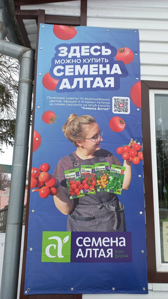 Beyaz eşya mağazaları Линия Тока, Altayski krayı, foto