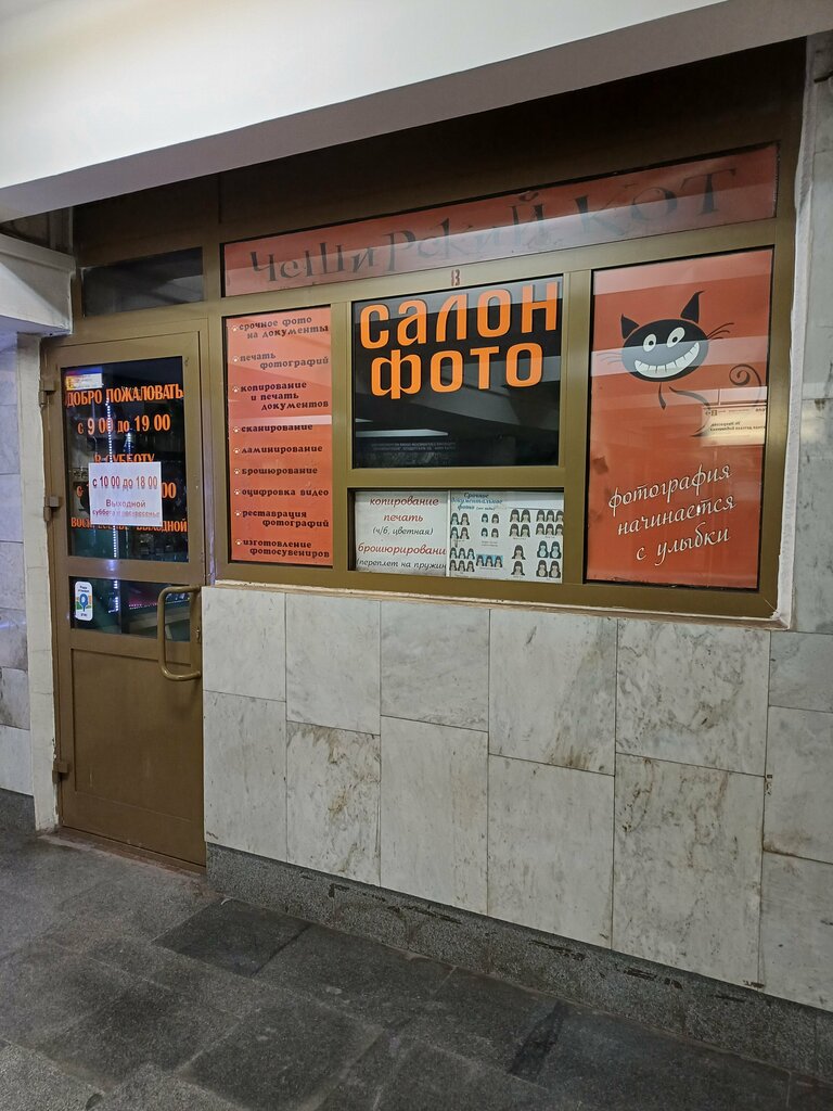 Fotoğraf hizmetleri Чеширский кот, Novosibirsk, foto