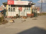 Atıfbey Mahallesi Muhtarlığı (Ankara, Altındağ, Atıfbey Mah., Atıfbey Mahallesi Sok.), muhtarlıklar  Ankara'dan