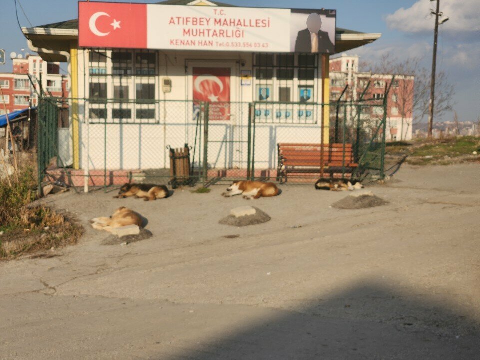 Muhtarlıklar Atıfbey Mahallesi Muhtarlığı, Ankara, foto