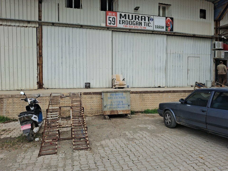 Toptan sebze ve meyve satışı Murat Erdoğan Ticaret Sebze, Meyve ve Tohum, Fethiye, foto