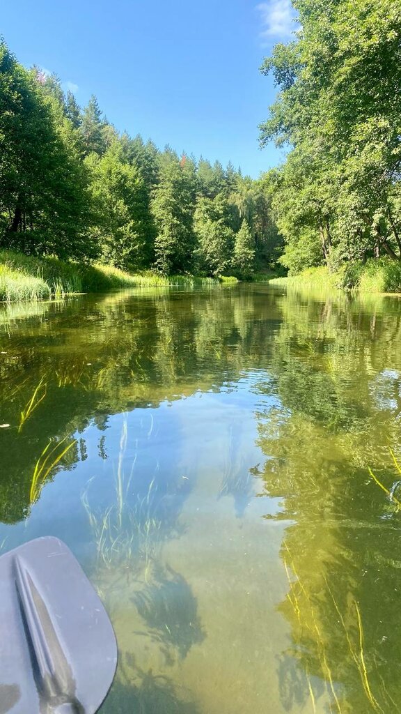 Piknik alanı Место для пикника, Vladimirskaya oblastı, foto