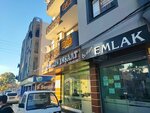 Öz Olgun Emlak (289 Sok., No:5B, Buca, İzmir), emlak ofisi  İzmir'den