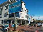 Falez AV (Antalya, Muratpaşa, Güzeloba Mah., Lara Cad., 397A), avcılar ve balıkçılar  Antalya'dan