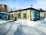 Скороход (Novosibirsk Region, Berdsk, Gorodskoy park Berdska), kiralama noktası  Berdsk'ten
