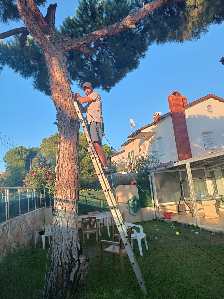 Elektrik ve elektrikli ürün mağazası Asfalya Elektrik, İzmir, foto