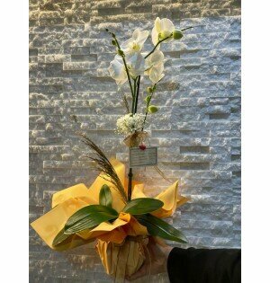 Çiçekçiler Akyurt Çiçekçilik, Ankara, foto