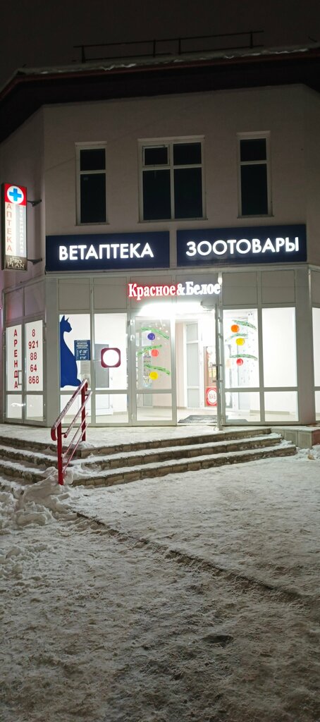 Veteriner eczaneleri Зооветсервис, Luga, foto