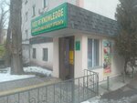 Tree Of Knowledge (Zhubanov Street No:68А), defektologlar  Almatı'dan