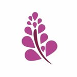 Lavanti (Volotovskaya Street No:7А, Pskovskiy District), kuru temizlemeciler  Velikiy Novgorod'dan