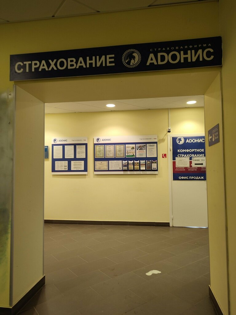 Sigorta şirketleri Adonis, Krasnokamsk, foto