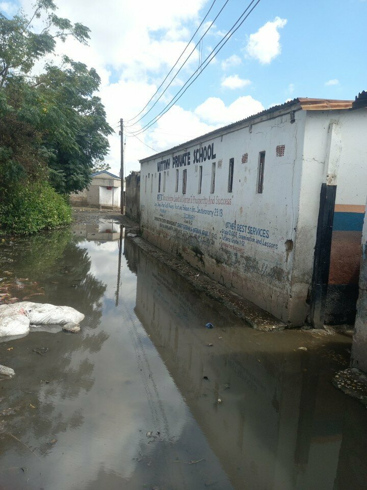 Özel okul Wittny private school, Lusaka, foto
