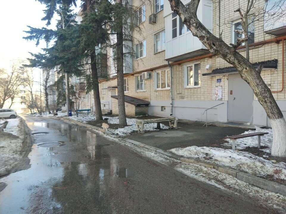 Bilgisayar teknik servisleri Kompyuternaya Pomoshch, Stavropol, foto