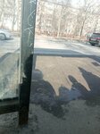 Улица Королёва (Moscow Region, Zhukovsky, Gagarina Street), toplu taşıma durağı  Jukovski'den
