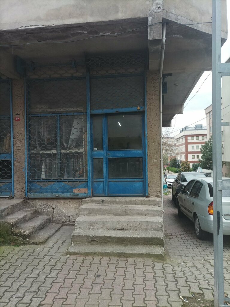 Tasarım mobilya Sahil Koltuk, İstanbul, foto