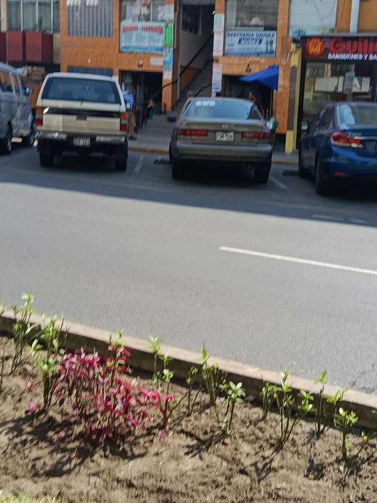 Terziler Atelier Castillo, Lima, foto