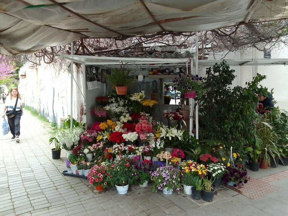 Çiçekçiler Çiçekçi, İzmir, foto