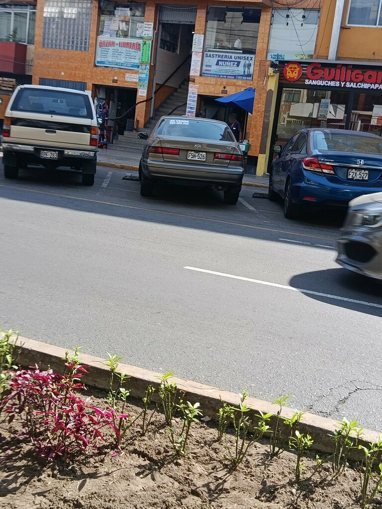 Ödeme acentesi Agente Interbank, Lima, foto