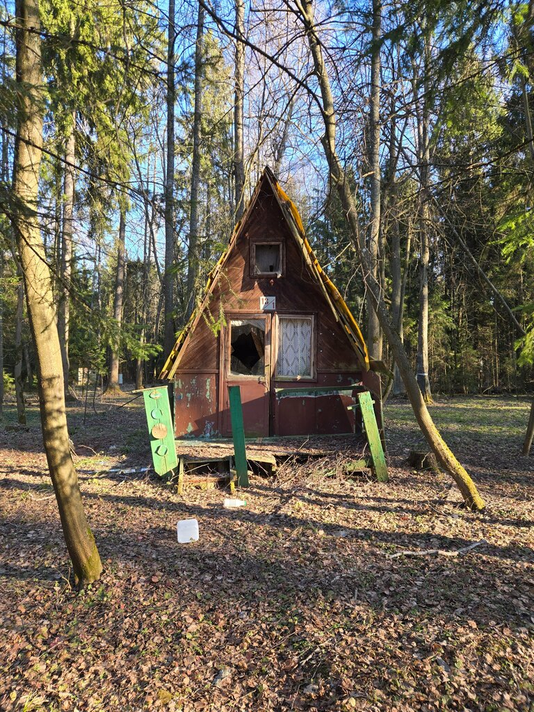 Resort oteller, tesisler База отдыха НИФХИ, Moskova ve Moskovskaya oblastı, foto