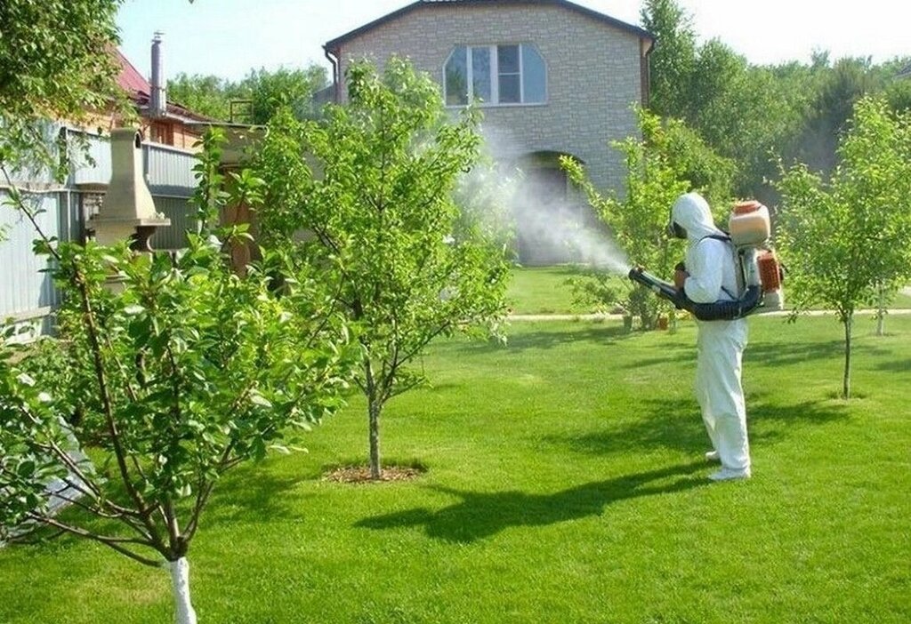 Haşere ilaçlama firmaları Новатор, Çapayevsk, foto