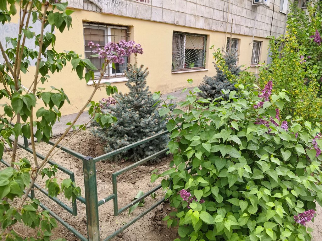 Konut servisleri kuruluşları ZhilKom-Yug, Volgograd, foto