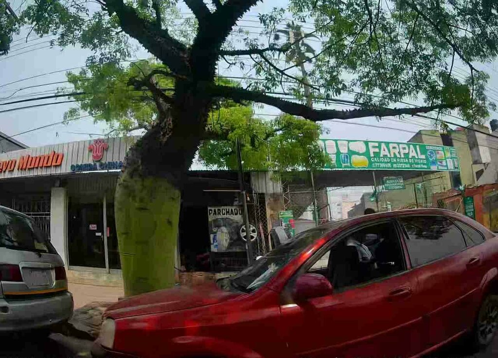 Otomobil servisi Service Station, Santa‑Krus, foto