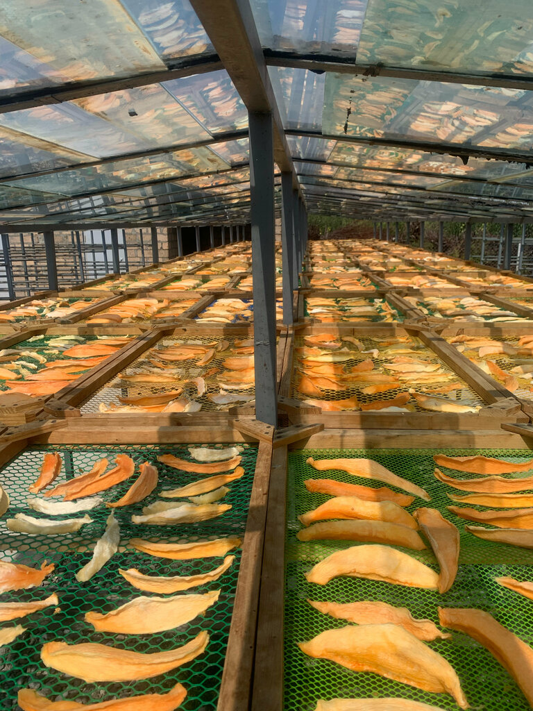 Tarım ürünleri firmaları Mevian, Armavir, foto