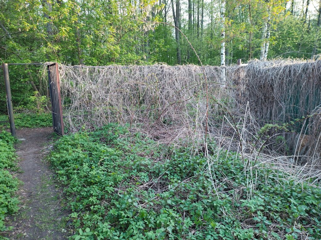 Kuyu Well, Moskova ve Moskovskaya oblastı, foto