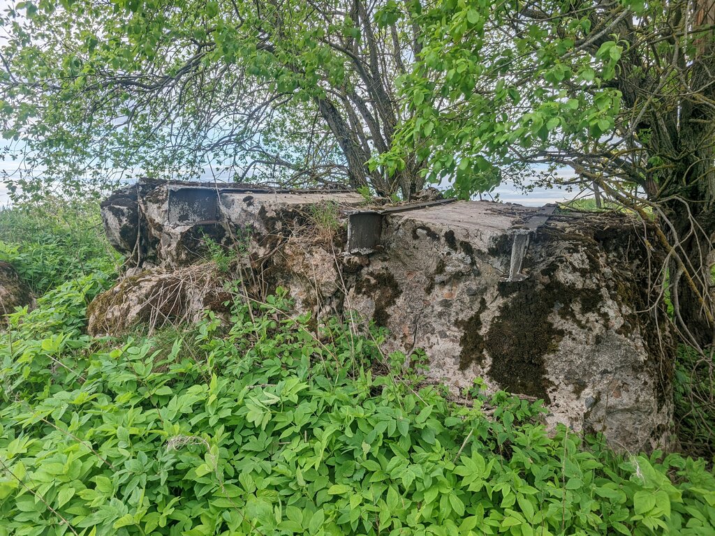 Turistik yerler ДОТ № 59, Minskaya oblastı, foto