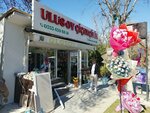 Ulusoy (Ankara, Yenimahalle, 1611. Cad.), çiçekçiler  Ankara'dan