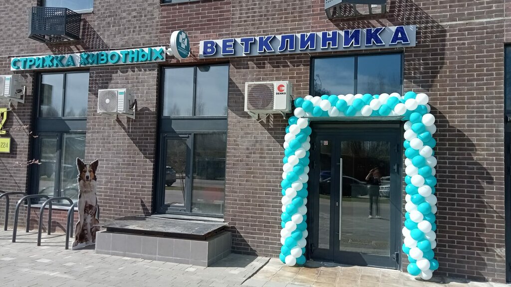 Veteriner klinikleri Nanovet, Moskova ve Moskovskaya oblastı, foto