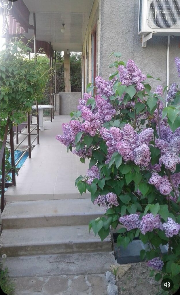 Otel Уютный дворик у Инны, Sudak, foto