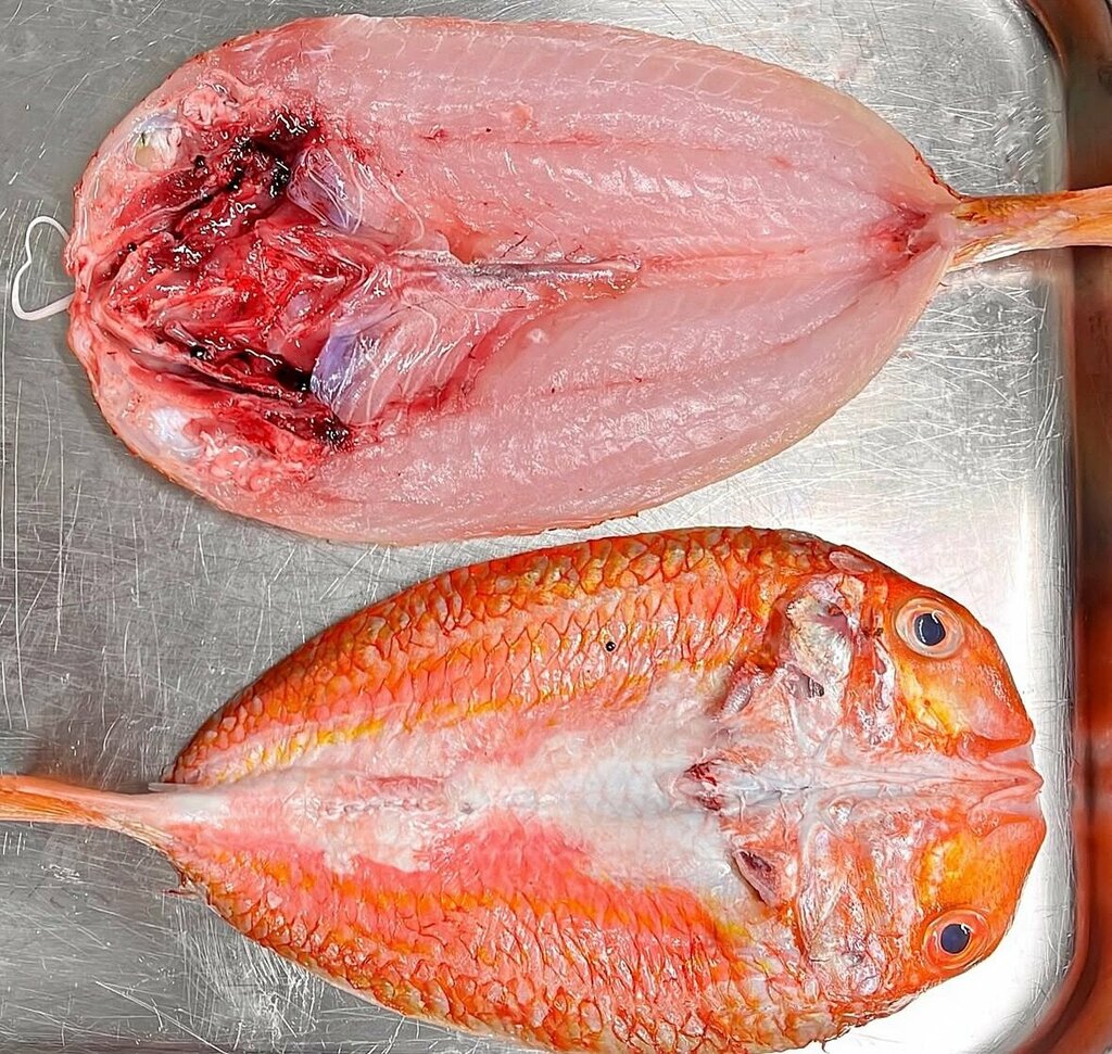 Restoran Han Balık, İstanbul, foto