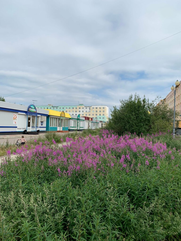 Market Перекрёсток 2, Saha Cumhuriyeti (Yakutistan), foto