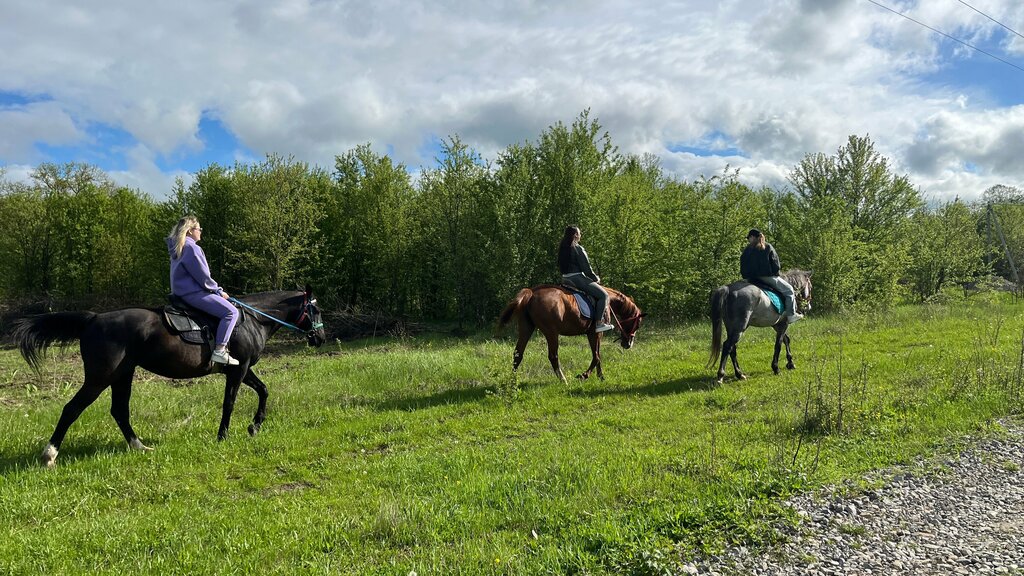 At ve binicilik kulüpleri Ranch Ostwind, Krasnodarski krayı, foto