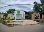 Go Green Bolivia (Santa Cruz de la Sierra, Distrito Municipal 1, Subdistrito 59, Doctor Ismael Suárez), gıda üreticileri  Santa‑Krus'tan