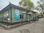 Afalina (Naýaı kóshesi No:308/1), akvaryumlar  Almatı'dan