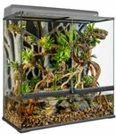 Thunder Jungle Pets Shop (59, Al Hasib Street, Mussafah Community, Mohamed Bin Zayed City, Abu Dhabi), petshop  Abu Dabi'den