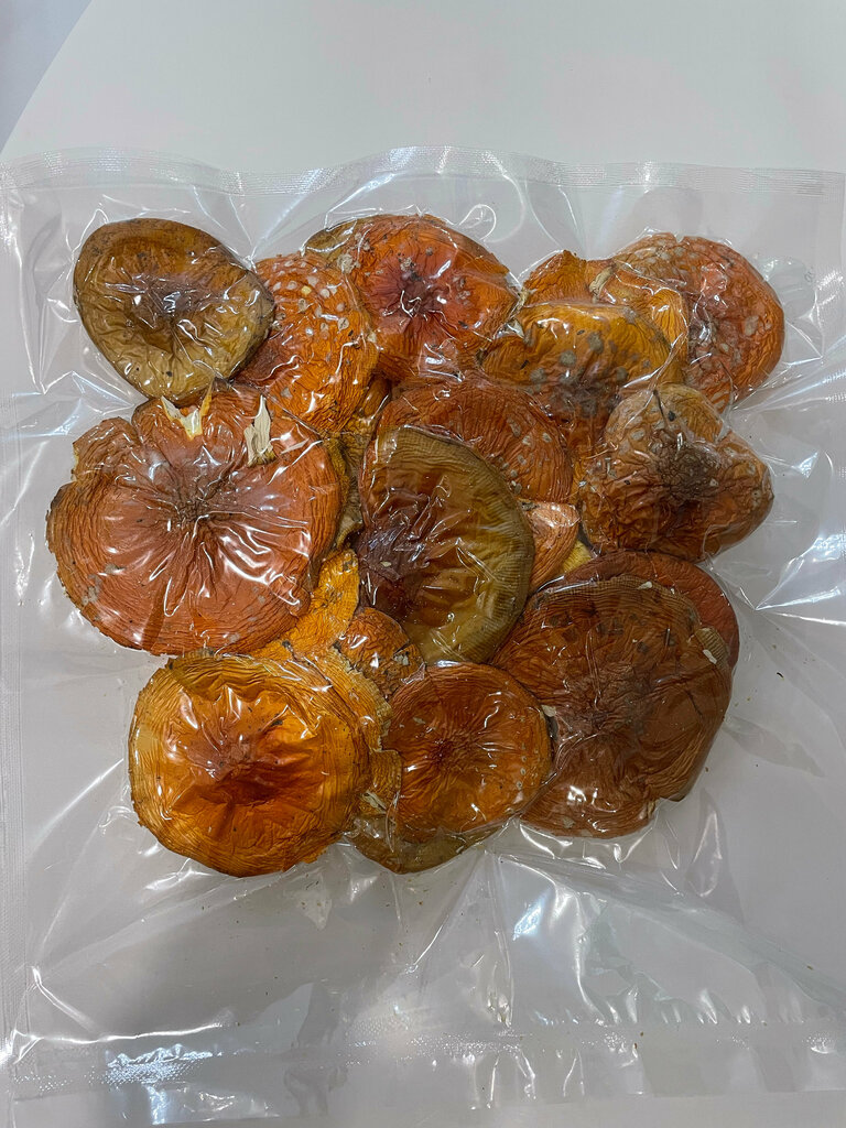 Mantar yetiştirme ve satış Полезные грибы, Barnaul, foto