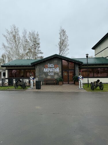 Kafe Гусь лапчатый, Sverdlovskaya oblastı, foto