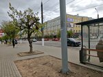 Парк Победы (Tver, Pobedy Avenue), toplu taşıma durağı  Tver'den