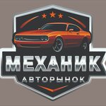 Mehanick (Yuzhnoye Highway No:12с9), otomobil pazarları  Tolyatti'den (Togliatti'den)