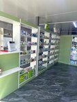 Elpharma (Shemákın kóshesi No:181), eczaneler  Almatı'dan
