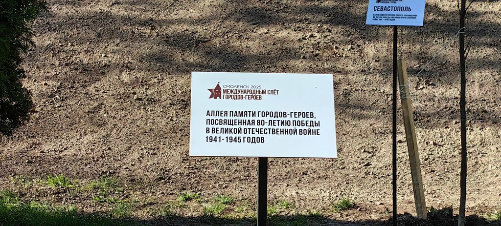 Turistik yerler Аллея Городов Героев к 80-летию Победы, Smolensk, foto