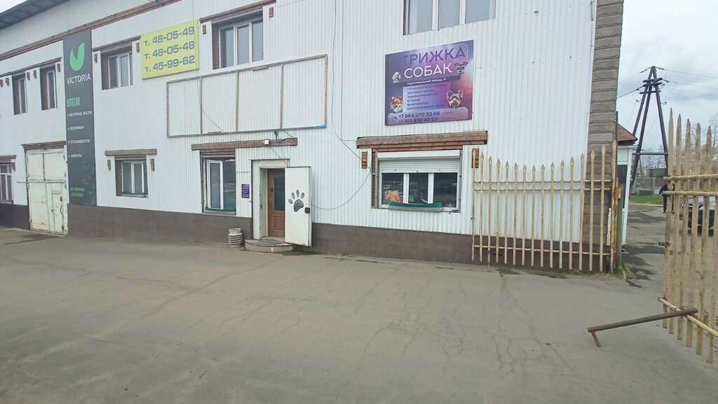 Evcil hayvan kuaförleri Студия груминга, Bratsk, foto
