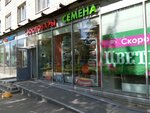 Семена (Toreza Avenue No:9), tohum satan yerler  Saint‑Petersburg'dan