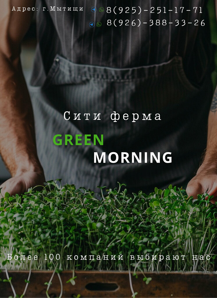 Sağlıklı besin mağazası Микрозелень Green Morning, Mytişçi, foto